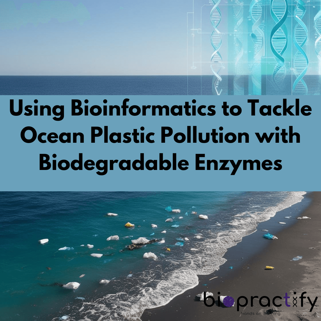 Using Bioinformatics to Reduce Ocean Plastic waste with Enzymes