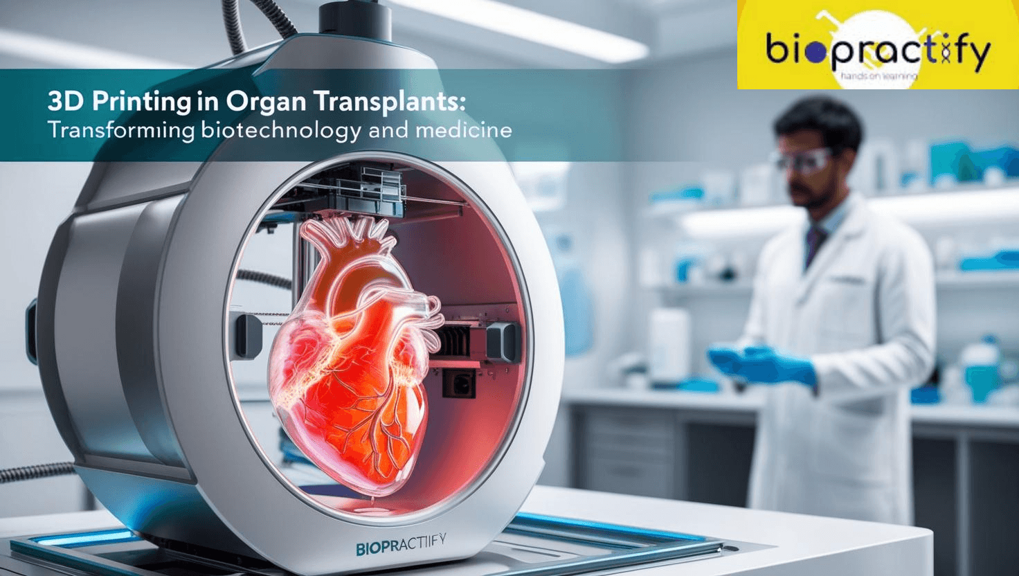 3D Printing in Organ Transplants: The Future of Biotech & Medicine